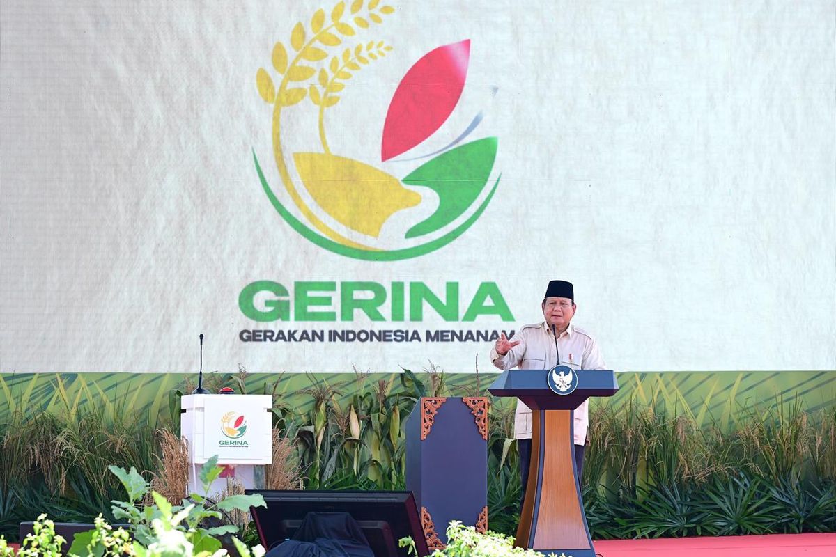 Stok Melimpah, Indonesia Ekspor Beras atas Restu Presiden Prabowo